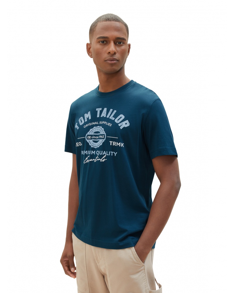 Tričko TOM TAILOR pánske 1037735/21179 | BENOFASHION